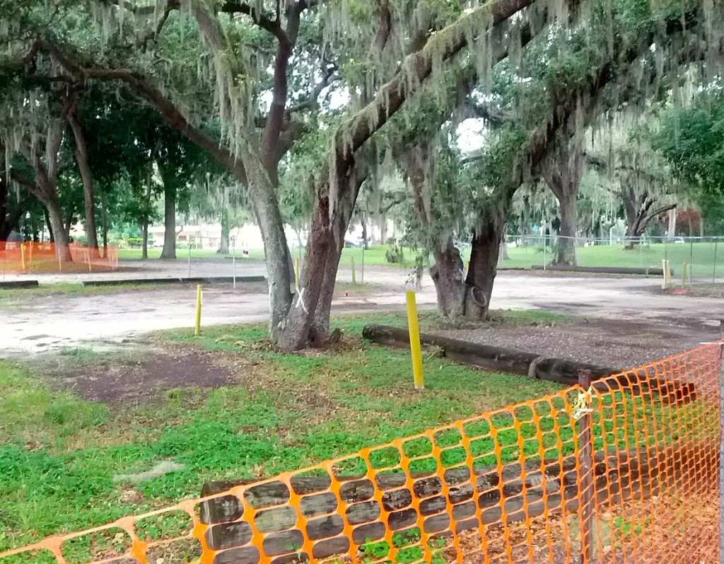 Safety Harbor Explores Moratorium On Tree Removal