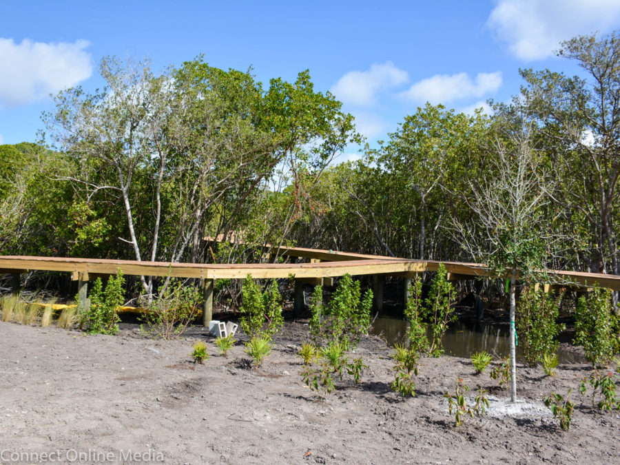 Safety Harbor Waterfront Park planting-25 - Safety Harbor Connect