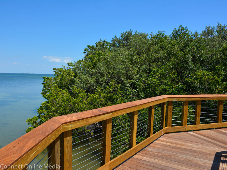 Safety Harbor Waterfront Park boardwalk-33 - Safety Harbor Connect
