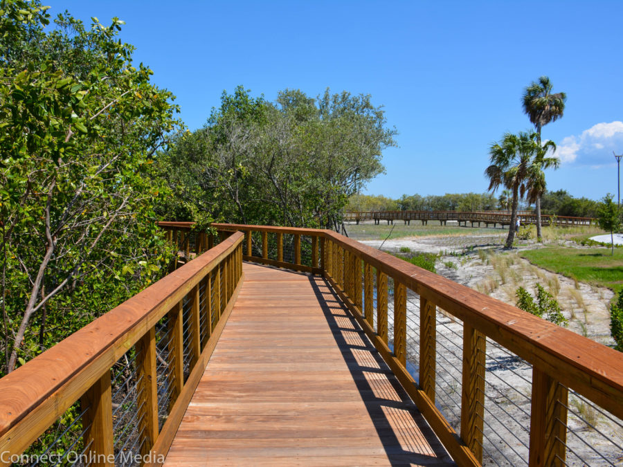 Safety Harbor Waterfront Park boardwalk-39 - Safety Harbor Connect
