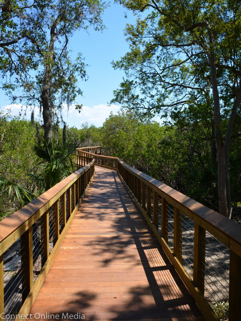 Safety Harbor Waterfront Park boardwalk-49 - Safety Harbor Connect