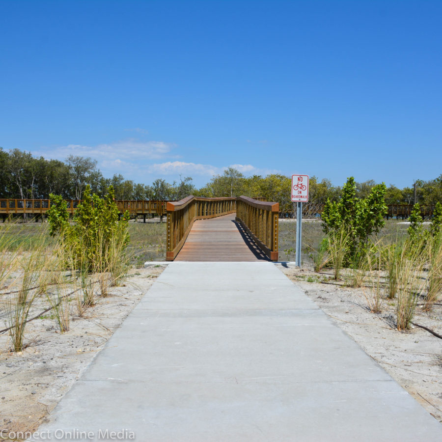 Safety Harbor Waterfront Park boardwalk-61 - Safety Harbor Connect