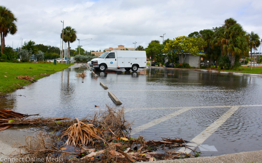 Hurricane Irma aftermath-13 - Safety Harbor Connect