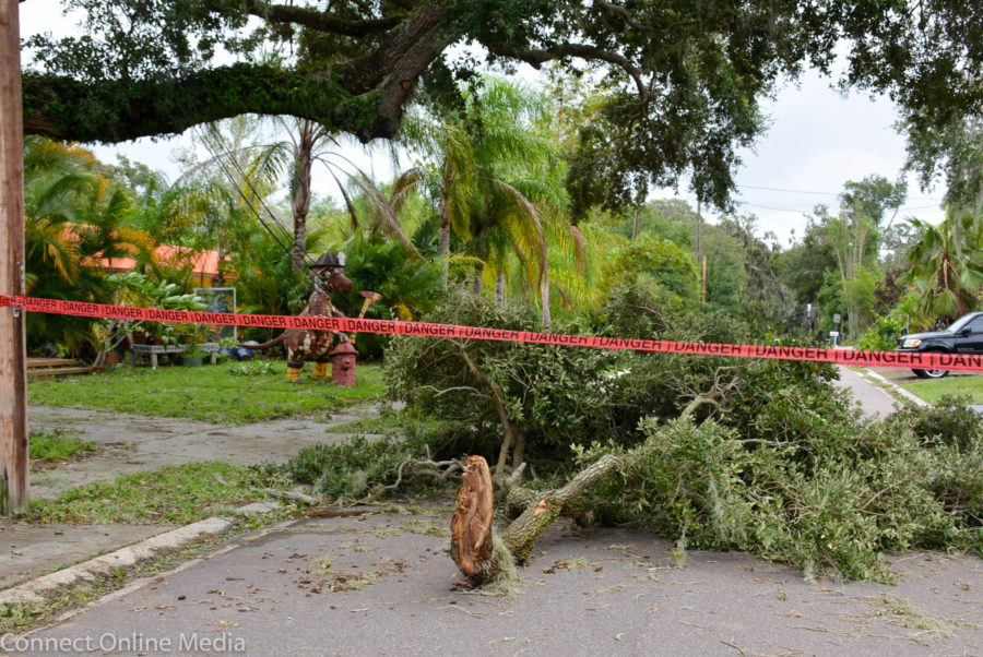 Hurricane Irma aftermath-79 - Safety Harbor Connect
